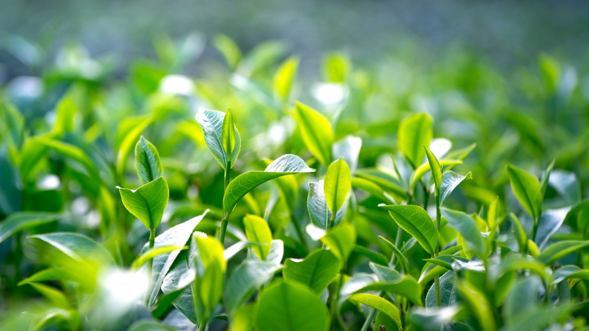 ESG | 久保孝ペイント株式会社